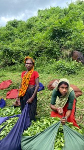 Srimongol, Sylhet – Journey Around The Globe